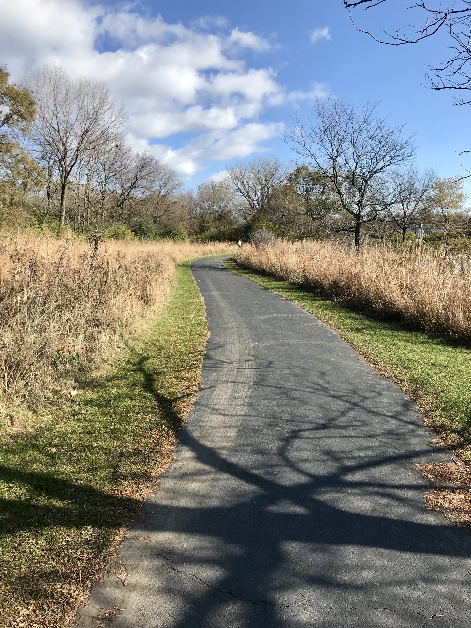 Closing the door on the Route 53 extension | Active Transportation Alliance